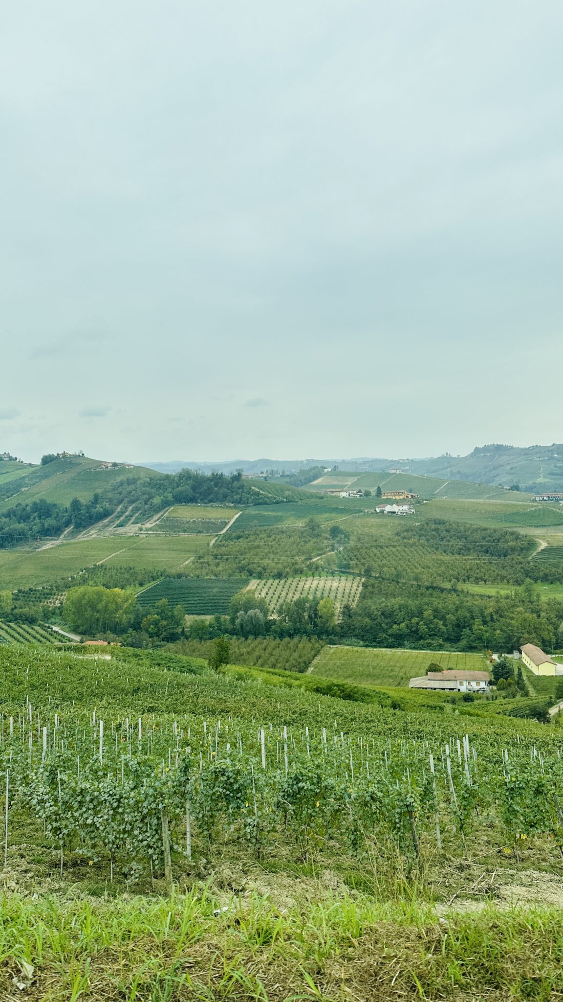 Wine Region Roundup- Piedmont, Italy - The Mom Mystique